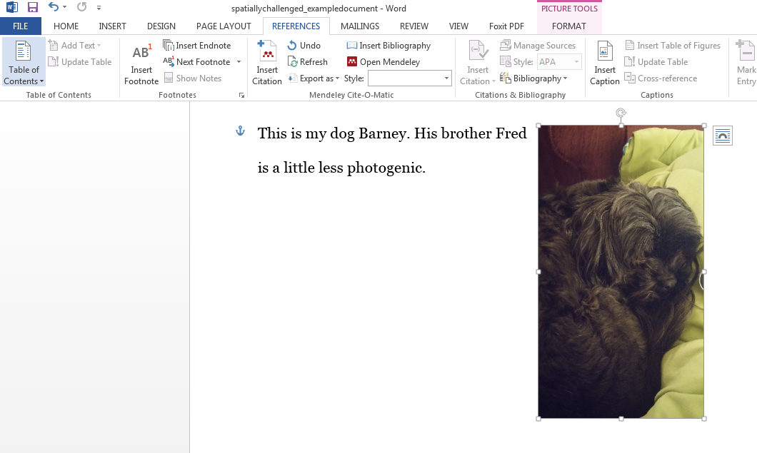 2019 Preview and Captioning Photos in Word – Spatially Challenged